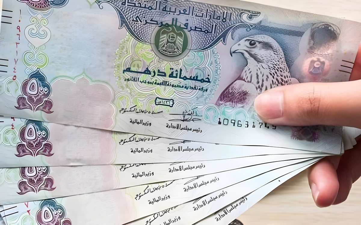 1000 درهم إماراتي كم مصري في السوق السوداء؟ ارتفاع سعر الدرهم اليوم